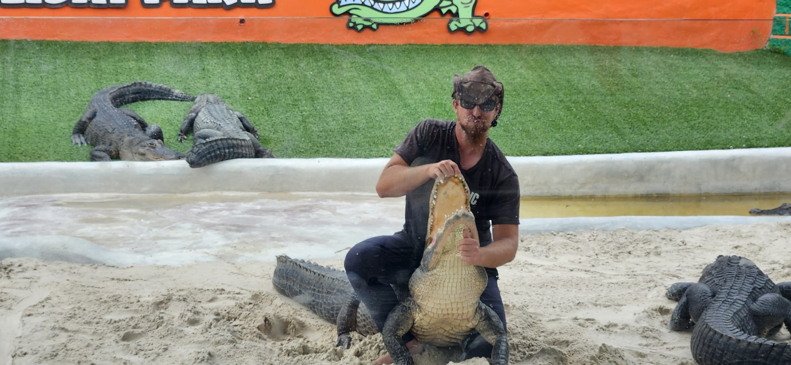Everglades excursion with bus Tranfer included - Everglades Airboat ...